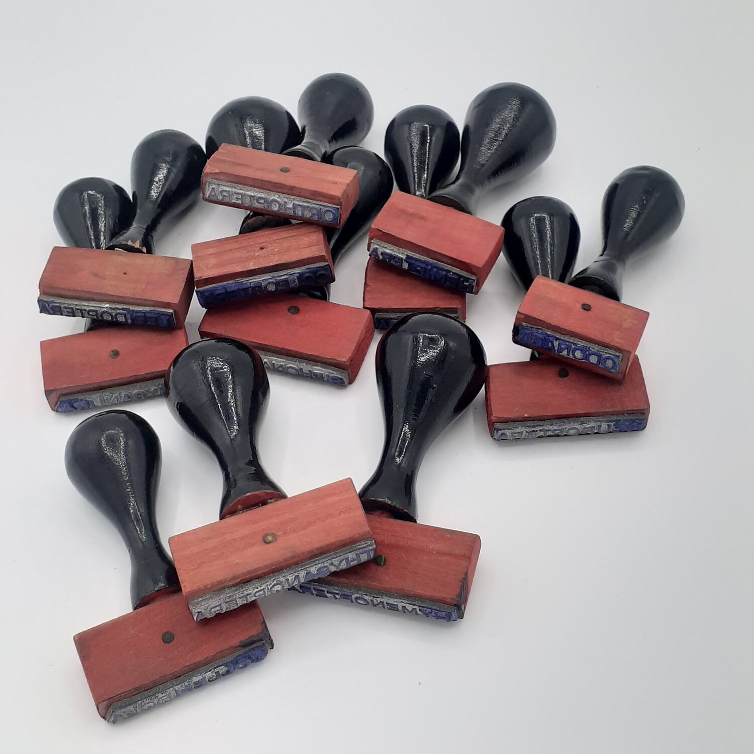 Rubber Stamps - Insect Orders, Museum of Victoria, 1950-2000