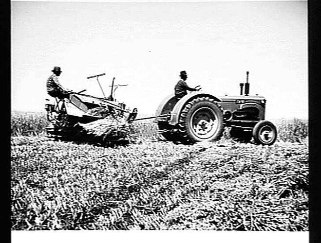 Photograph - H.V. McKay Massey Harris, Farm Equipment Manufacture ...