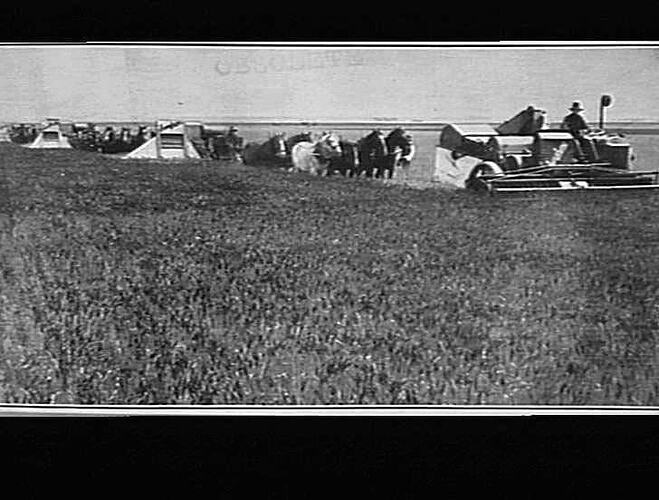 Photograph - H.V. McKay Pty Ltd, Farm Equipment Manufacture & Field ...