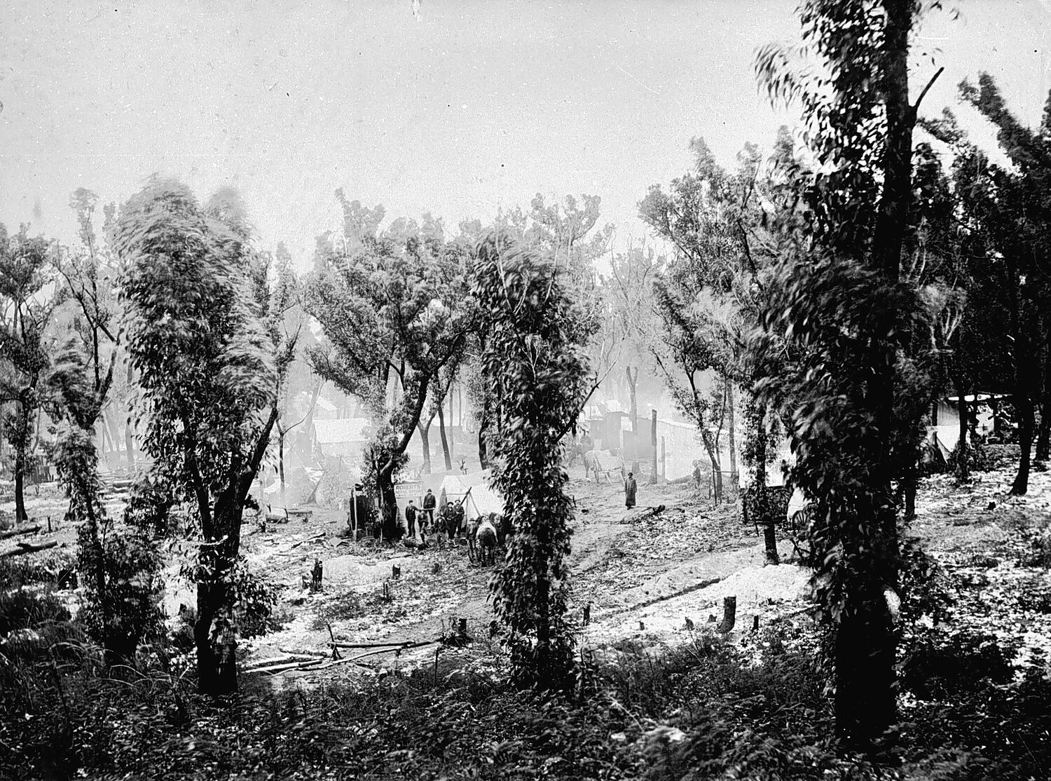 Negative - Mafeking, Victoria, circa 1895