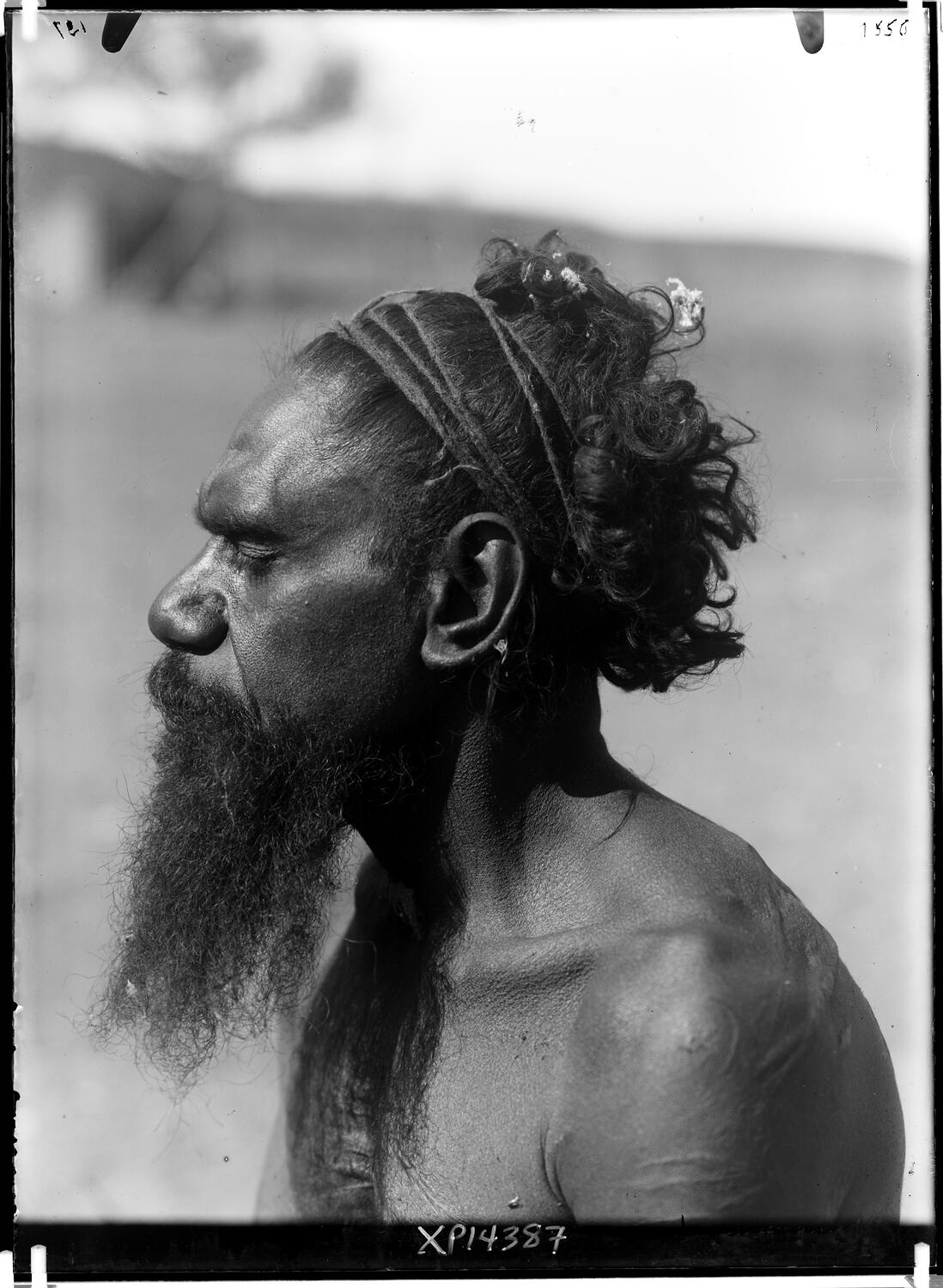 Glass plate. Anmatyerre. Barrow Creek, Central Australia, Northern ...
