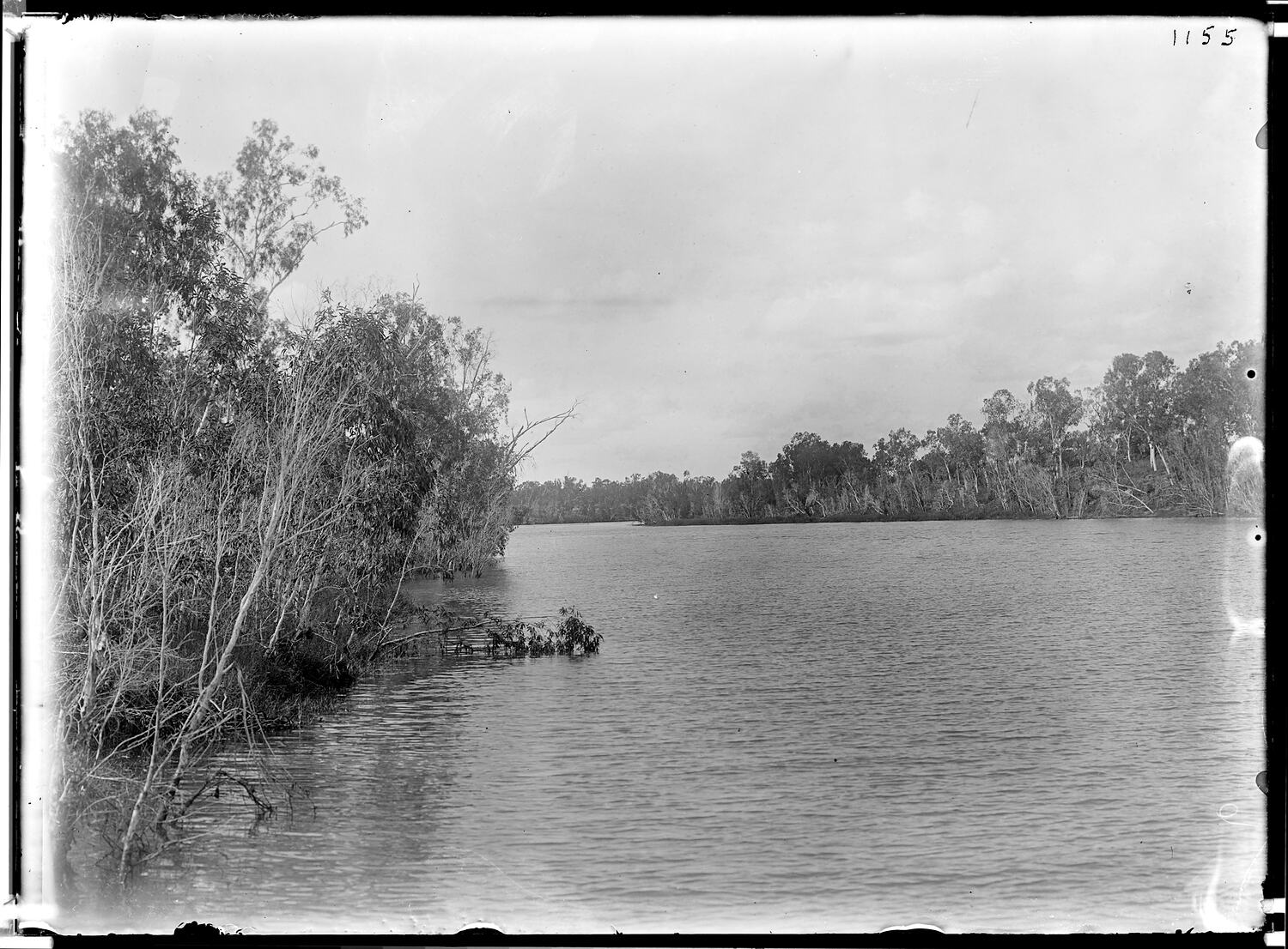 Glass plate. Borroloola, Gulf, Northern Territory, Australia. /11/1901 ...