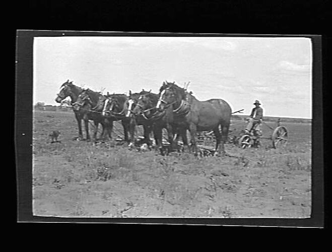 Negative - Nandaly, Victoria, by Bill Boyd, 1920