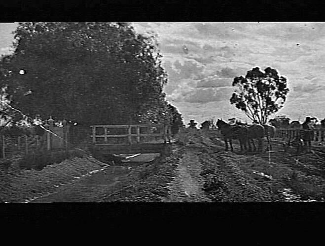 Negative - by Lilian L. Pitts, Merrigum, Victoria, circa 1910s