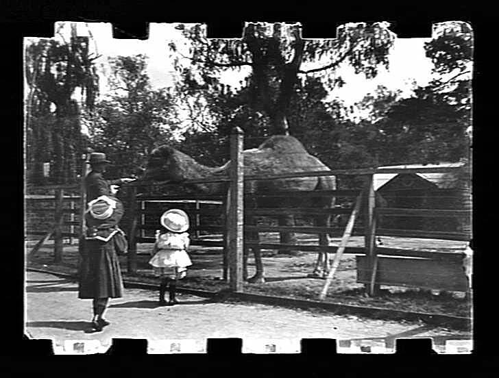 Photograph - Victoria, circa 1900s