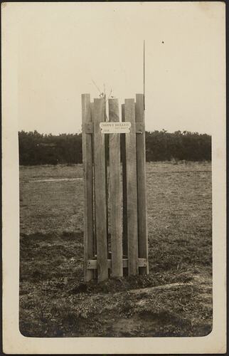 Digital Image - Photograph, Avenue of Honour Tree, 'John Bullus ...