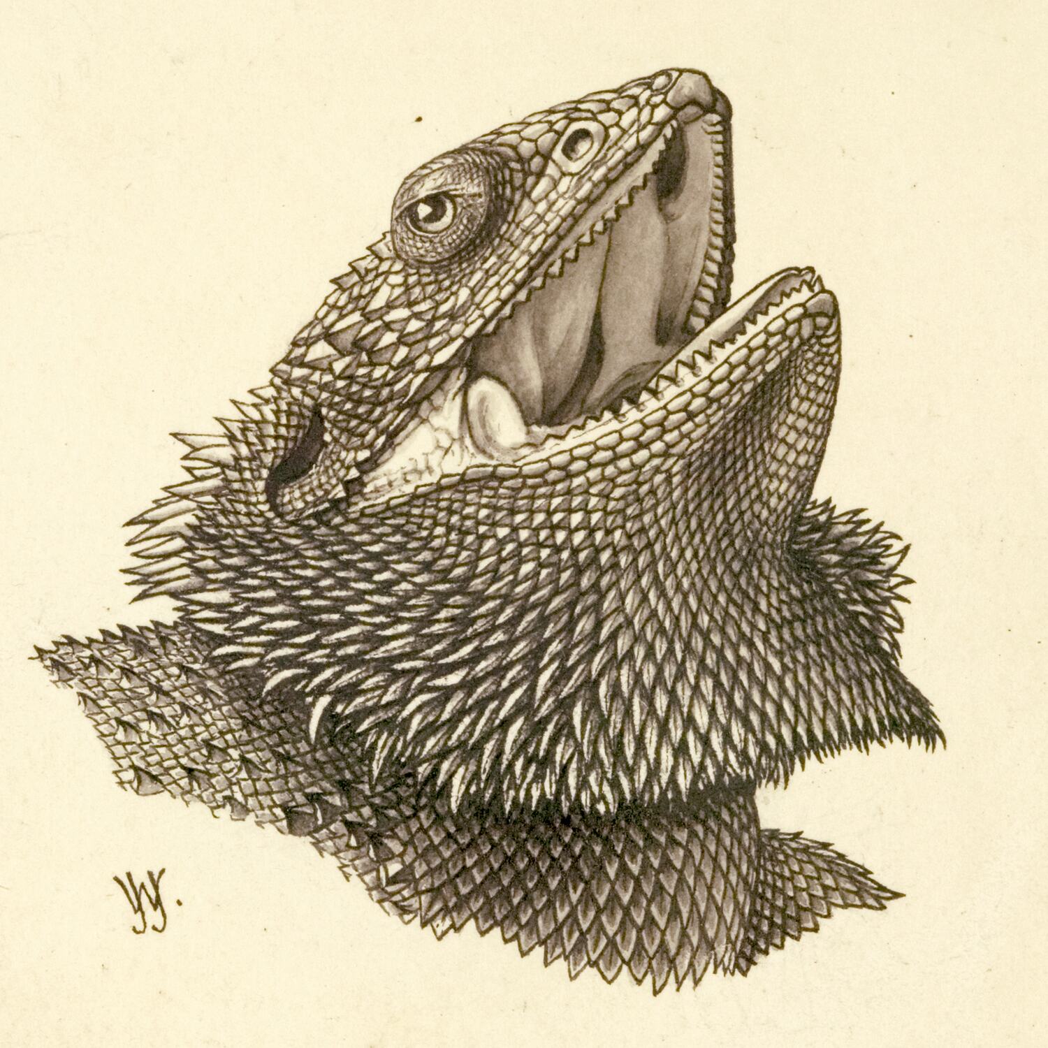 Scientific Art & Observation