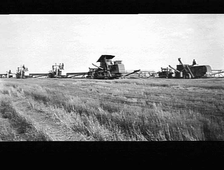 Photograph - H.V. McKay Massey Harris, Farm Equipment Manufacture ...