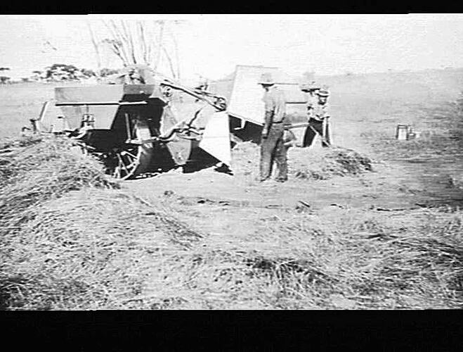 Photograph - H.V. McKay Massey Harris, Farm Equipment Manufacture ...