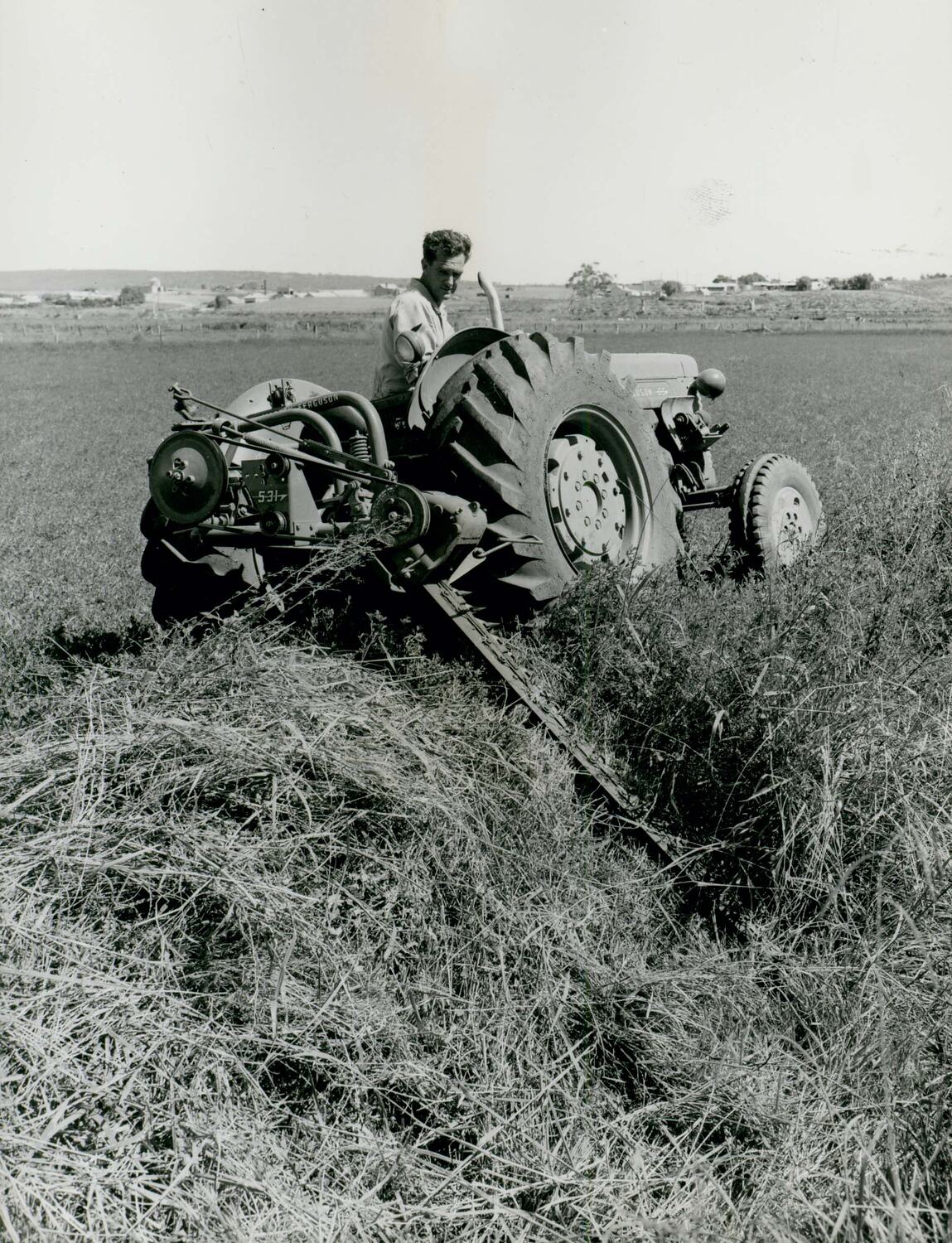 Photograph - Massey Ferguson, Hay Mower, circa 1960