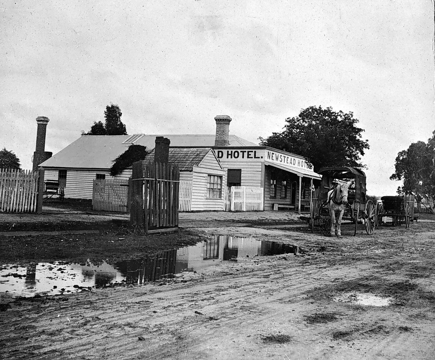 Negative - Newstead, Victoria, 1894