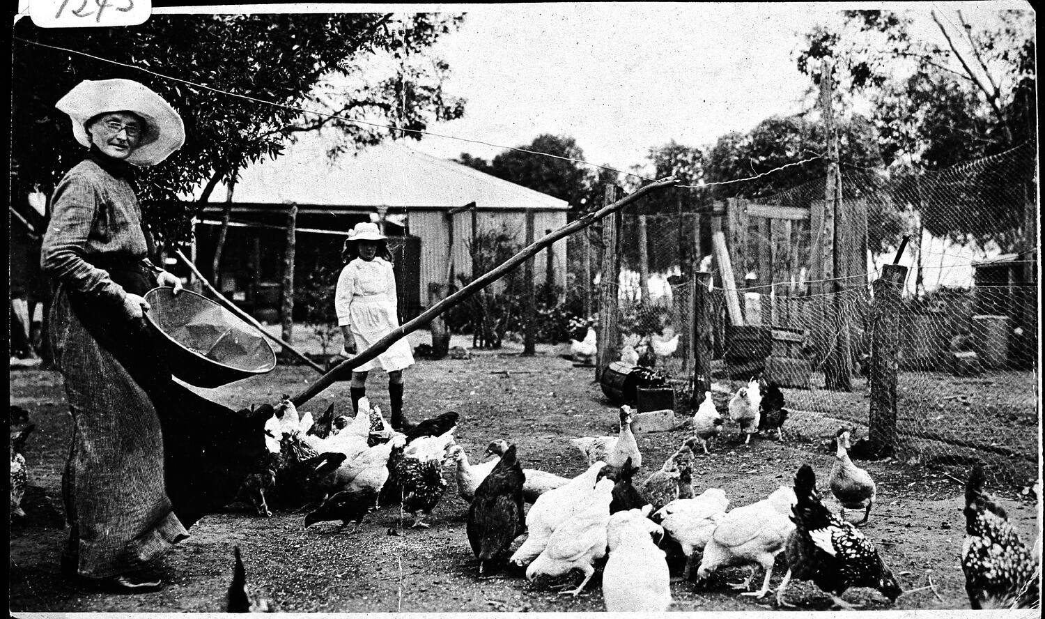 Negative - Nullawil District, Victoria, 1924