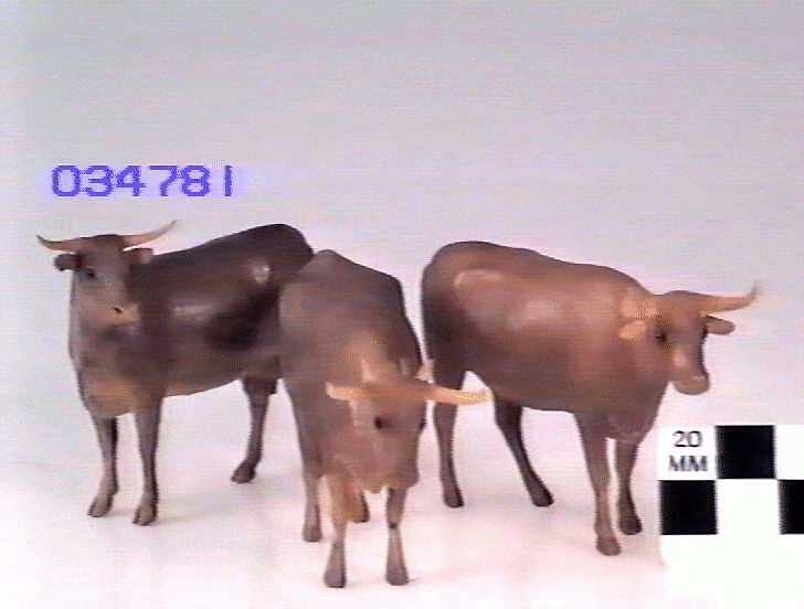 Cattle Models - Cow & Steers, 1879-1944