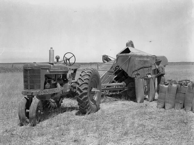 Negative - International Harvester, Header Harvester & Farmall M ...