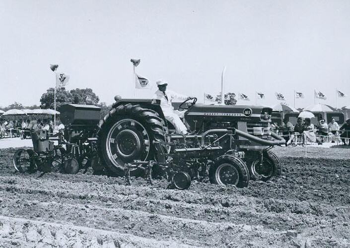 Photograph - Massey Ferguson, MF165 Tractor with Mid Mounted Cultivator ...