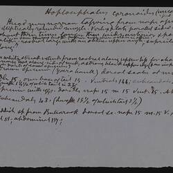 The Prodromus Collection