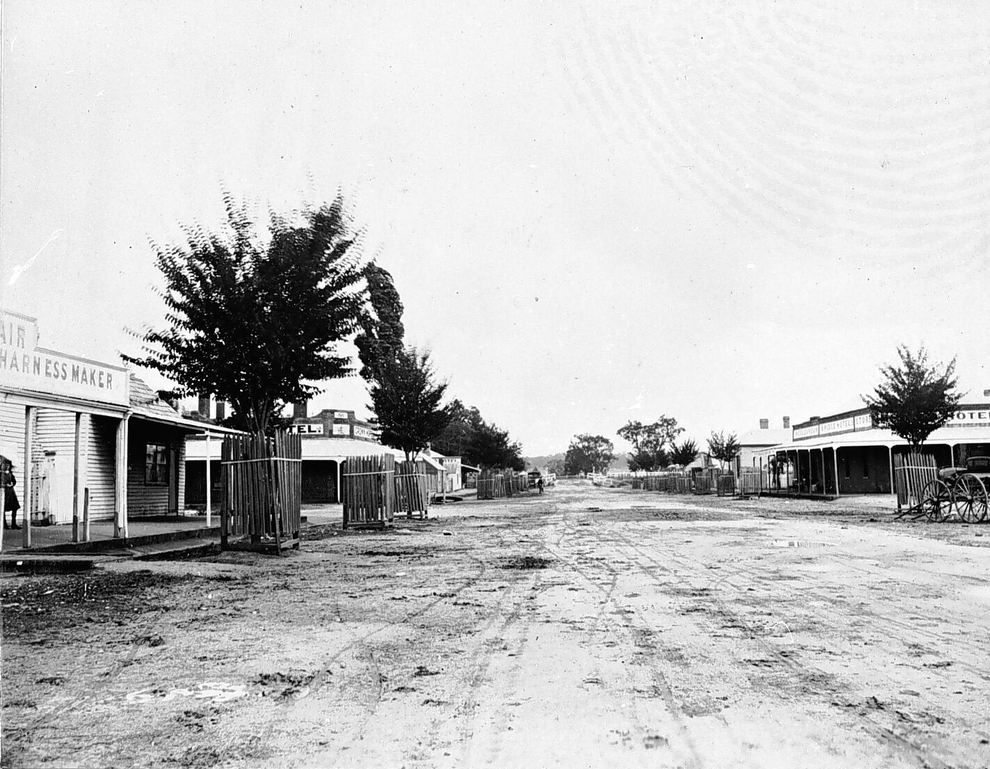 Negative - Newstead, Victoria, 1894