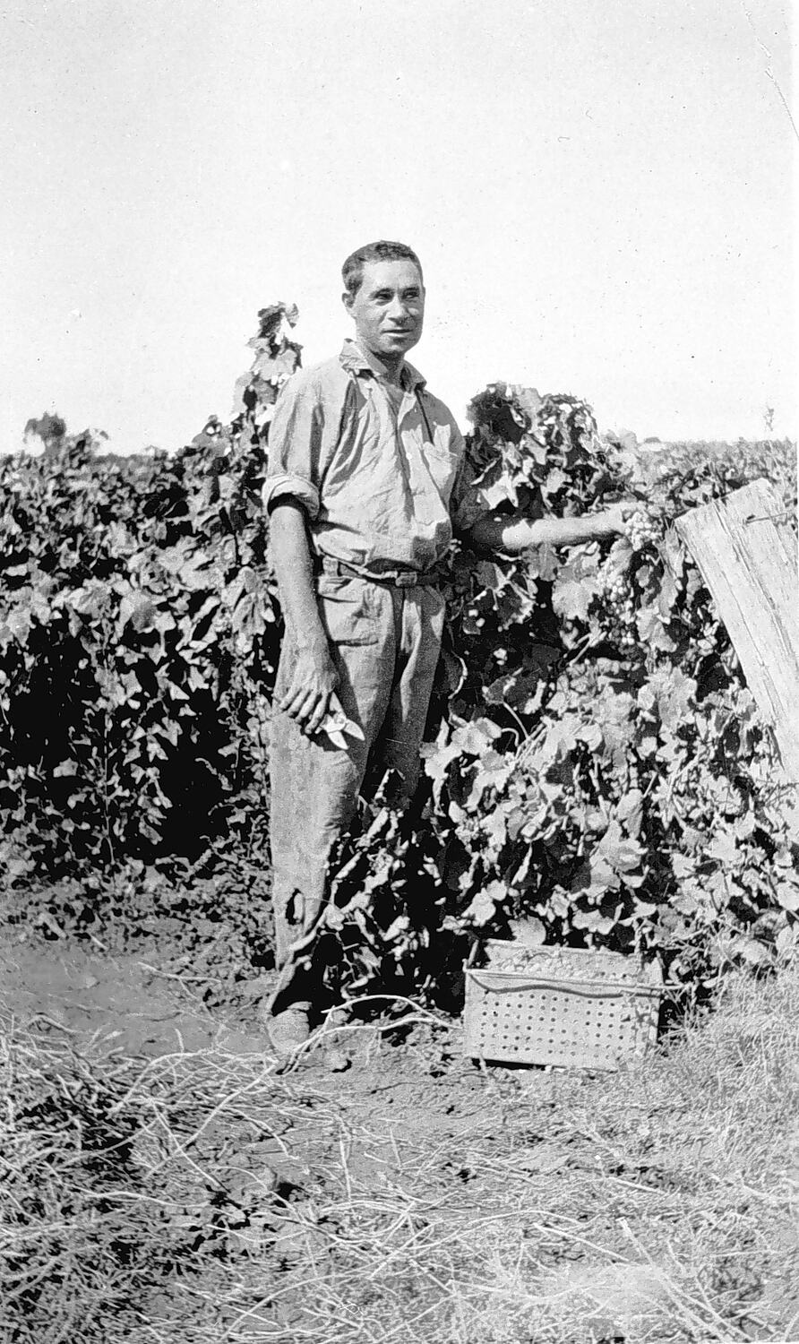 Negative - Merbein, Victoria, circa 1930
