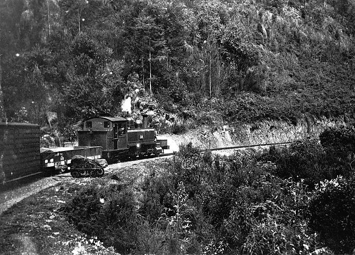 Negative - Train to Walhalla, Victoria, 1919