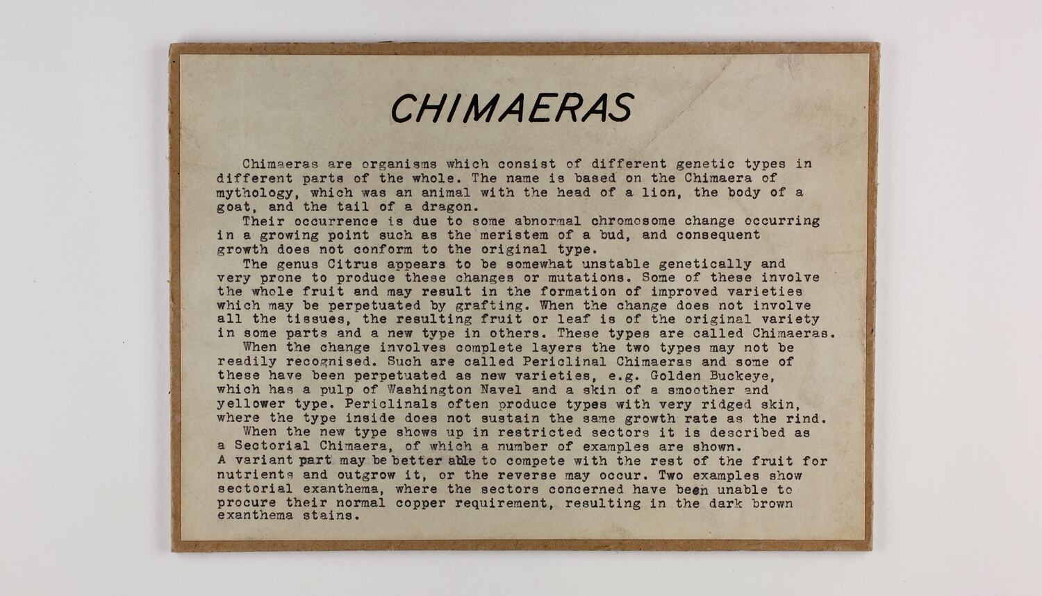 Exhibition Label - Citrus Chimaeras, Museum of Applied Science ...