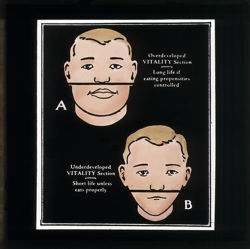 Lantern Slide - Facial Profile & Personality, 'Overdeveloped and ...
