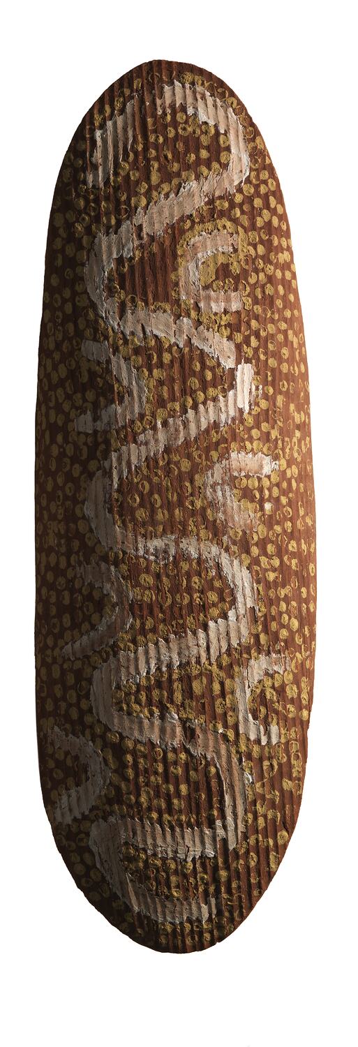 Kutitji | Shield. Pintupi. Desert Central, Northern Territory ...