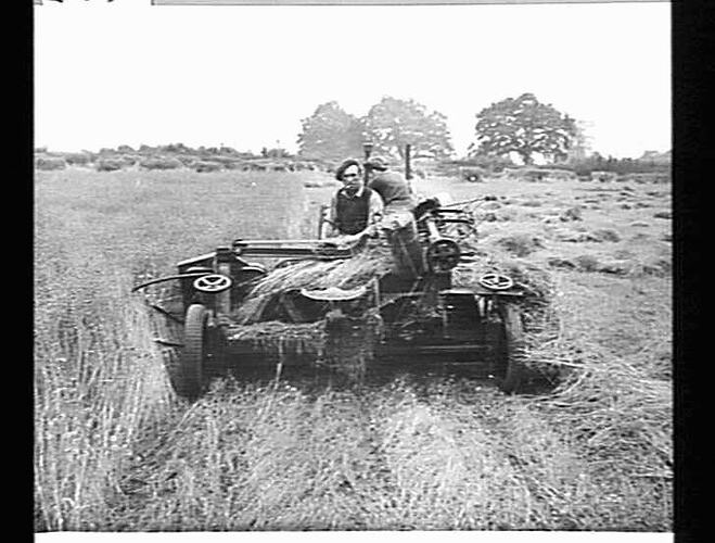 Photograph - H.V. McKay Massey Harris, Farm Equipment Manufacture ...