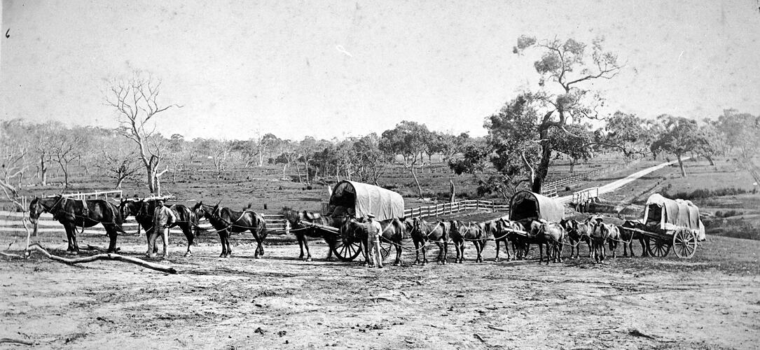 Negative - Traralgon, Victoria, circa 1885
