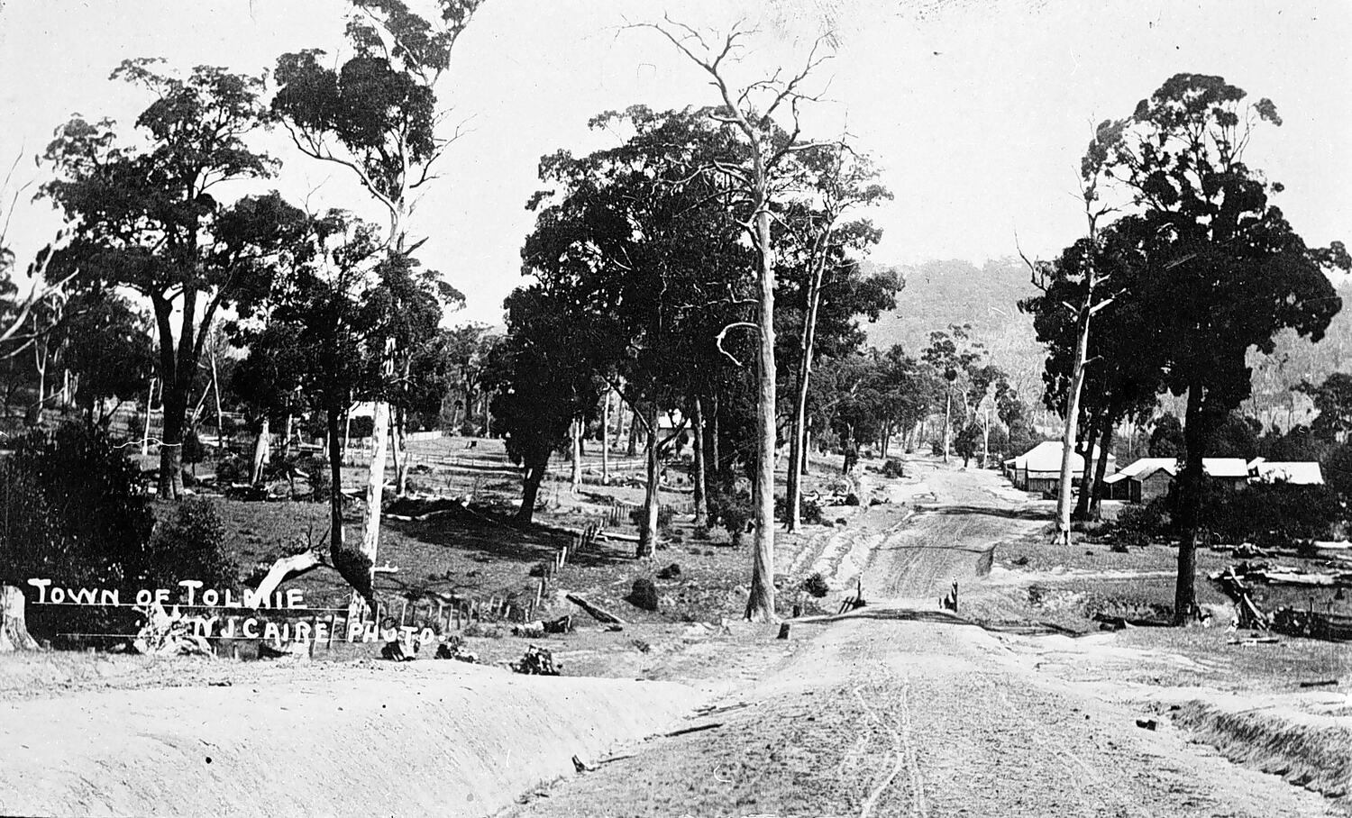Negative - Tolmie, Victoria, circa 1905