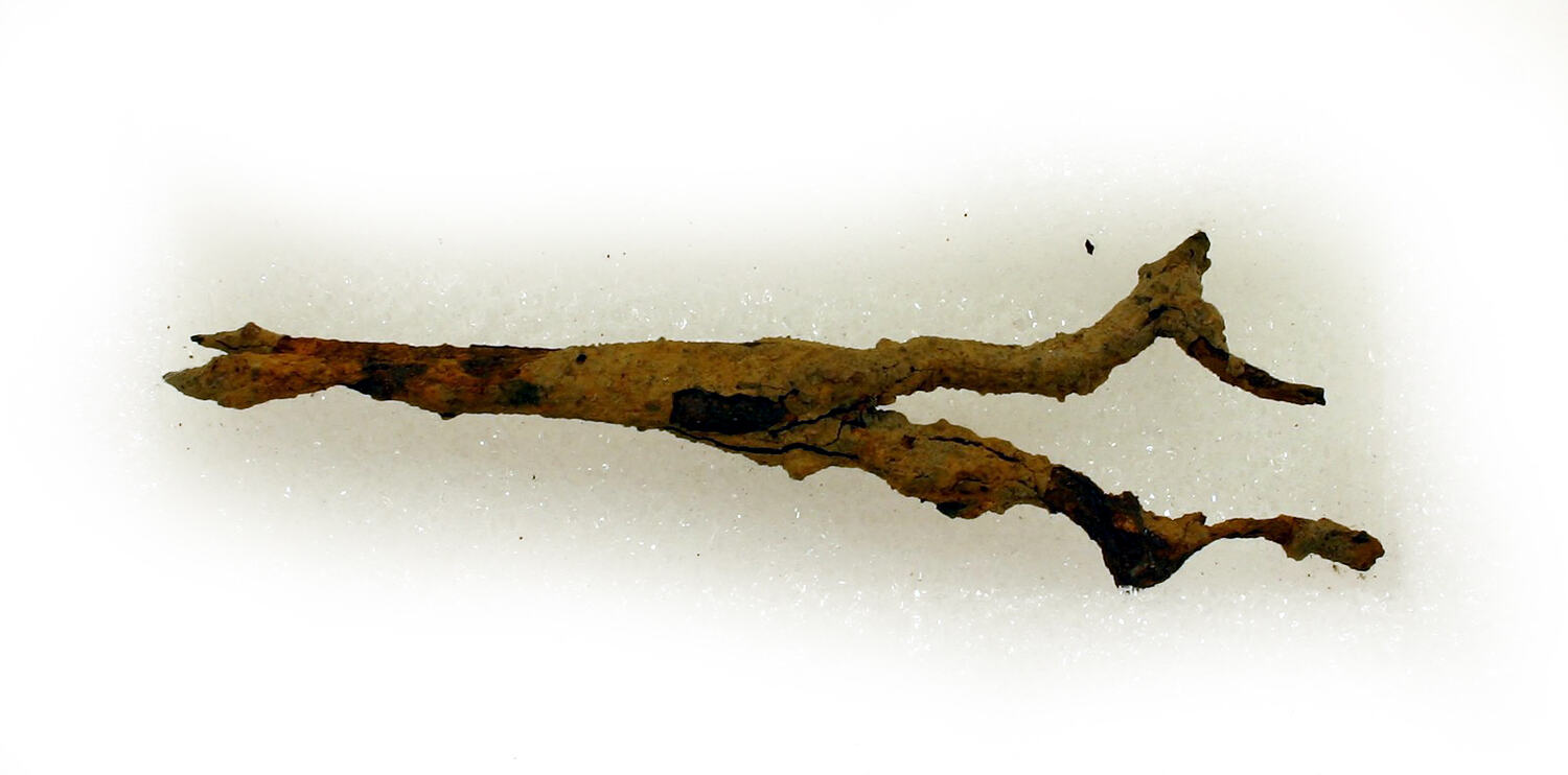 Scissors - Metal, circa 1880 (Damaged)