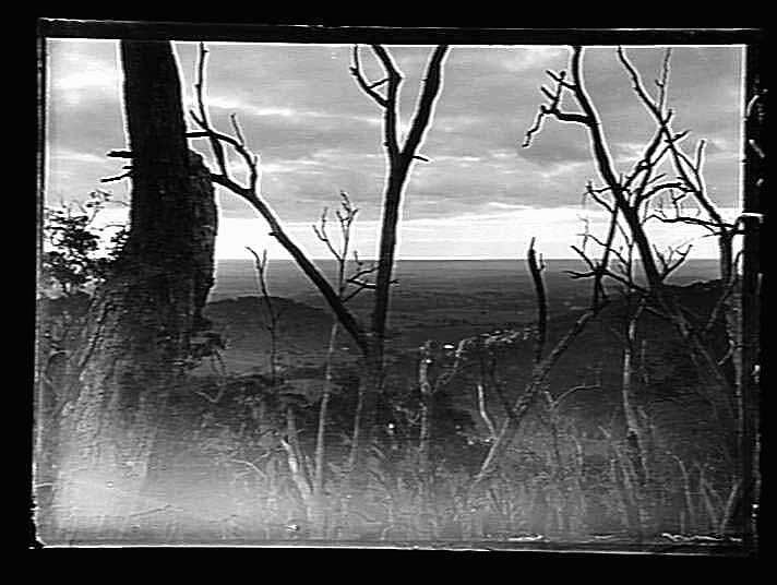 Glass Negative - Landscape, by A.J. Campbell, Dandenong Ranges ...