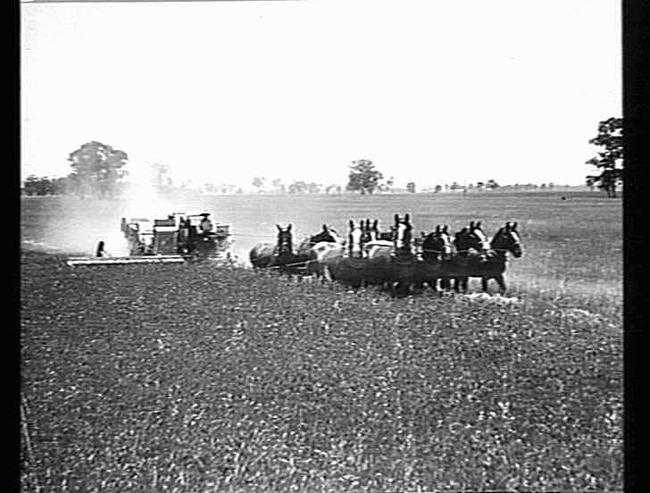 Photograph - H.V. McKay Massey Harris, Farm Equipment Manufacture ...