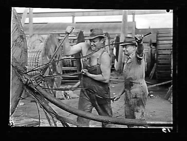 Negative - State Electricity Commission, Victoria, Australia, circa ...