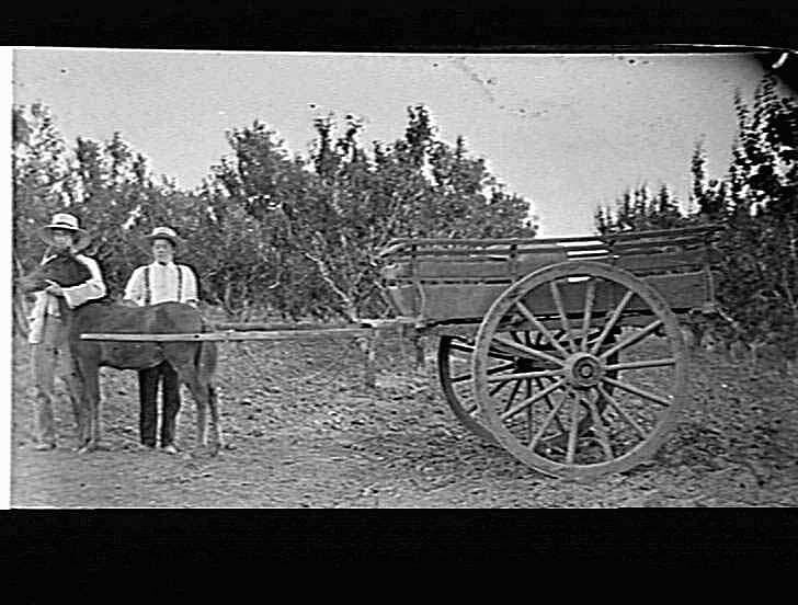 Negative - Harold Pitts with Foal & Dray, by Lilian L. Pitts, Merrigum ...