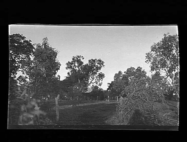 Negative - Landscape, by Hugh Conran, Australia, 1915