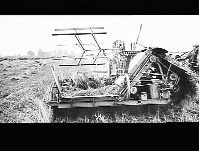 Photograph - H.V. McKay Massey Harris, Farm Equipment Manufacture ...
