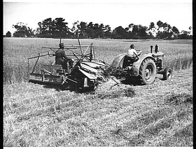 Photograph - H.V. McKay Massey Harris, Farm Equipment Manufacture ...