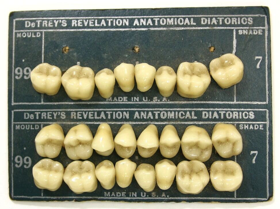Artificial Teeth - Porcelain Cuspid & Molar, DeTrey's Diatorics, circa 1925