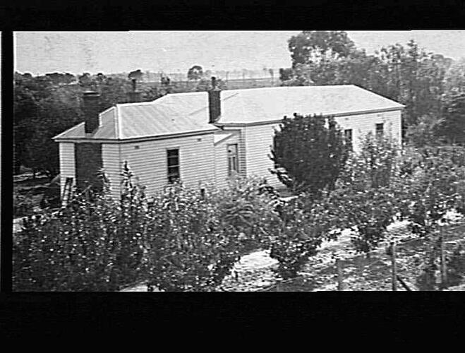 Negative - by Lilian L. Pitts, Merrigum, Victoria, circa 1910s