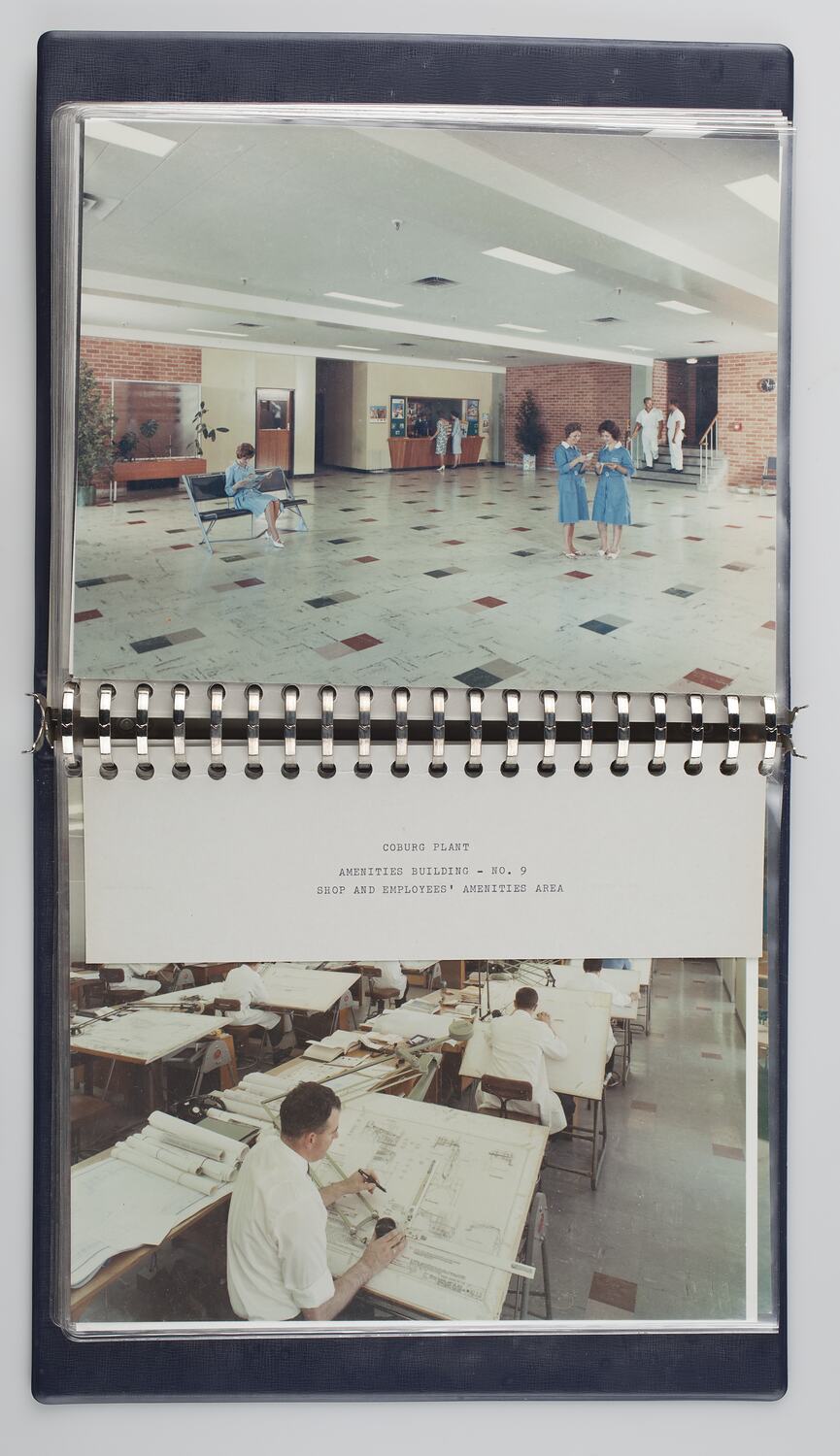 Photograph - Kodak Australasia Pty Ltd, Drafting Section, Engineering ...