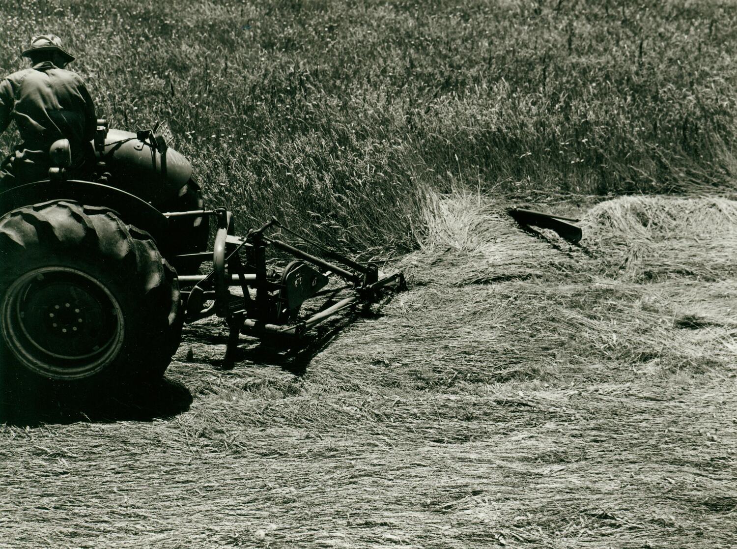 Photograph - Massey Ferguson, Hay Mower, circa 1970
