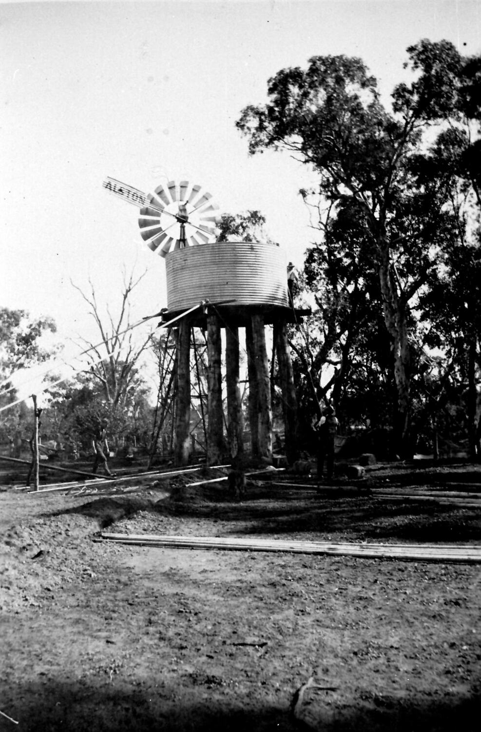Negative - Balranald District, New South Wales, circa 1925