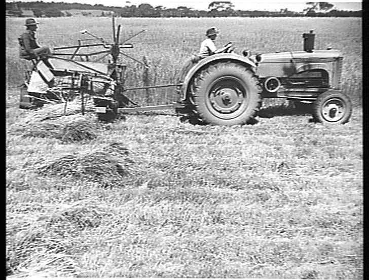 Photograph - H.V. McKay Massey Harris, Farm Equipment Manufacture ...