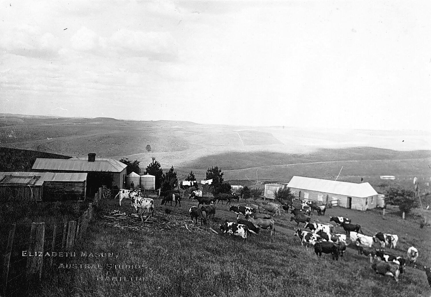 Negative - Merino, Victoria, 1920