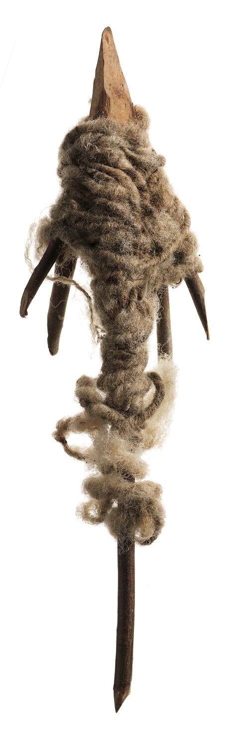 Spindle. Western Australia, Australia