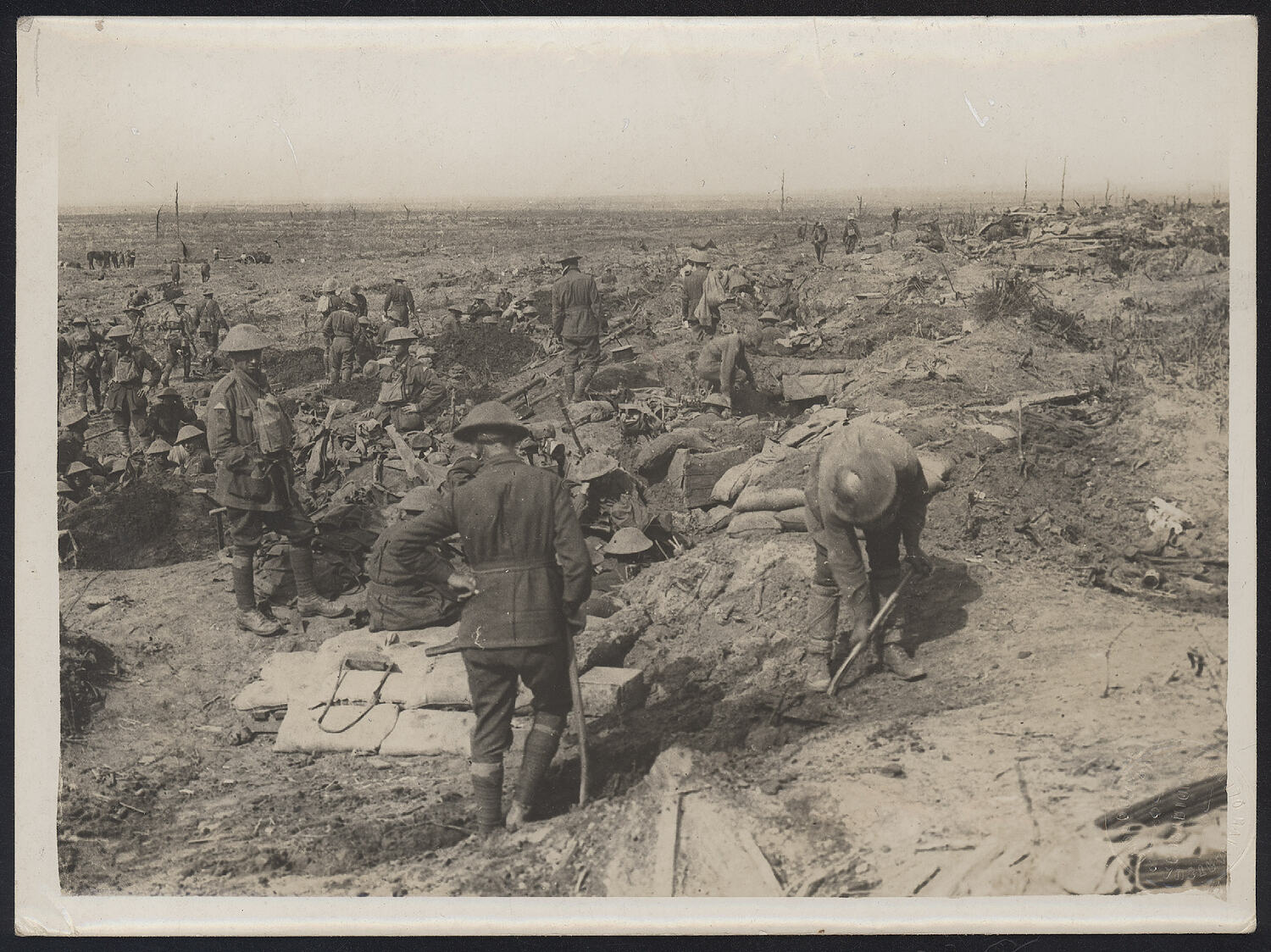 Photograph - 24th Battalion at 'Bellewaarde Ridge', Ypres, Belgium ...