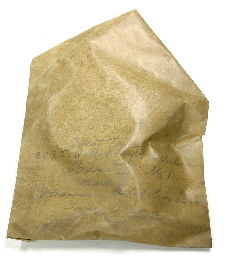 Bark Sample - Bassia latifolia, India, 1880s