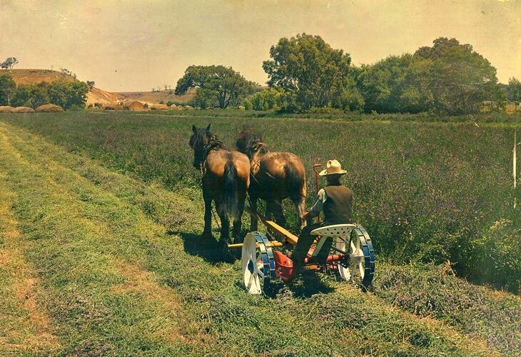 Negative - International Harvester, McCormick-Deering GL-9 Horsedrawn 5 ...