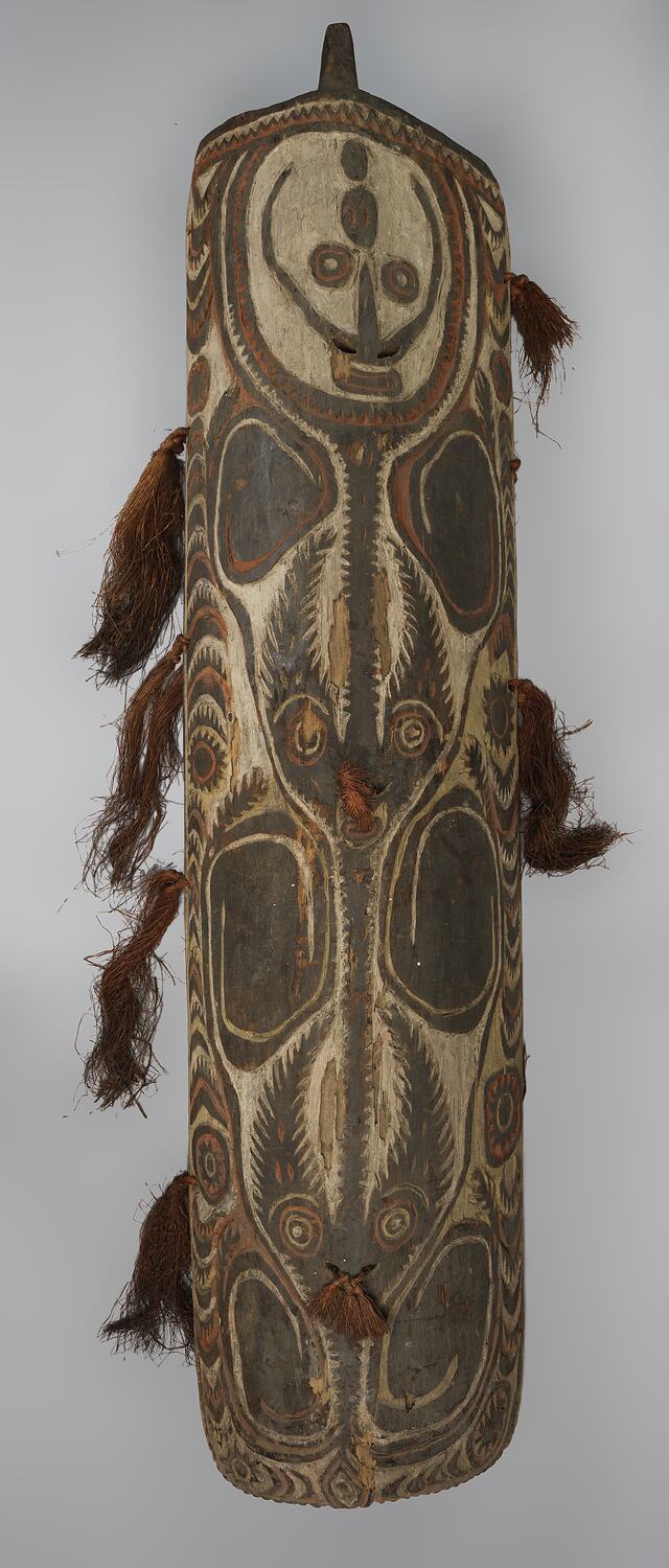 Shield. Yuat River, Lower Sepik, Sepik Provinces, Papua New Guinea. pre ...