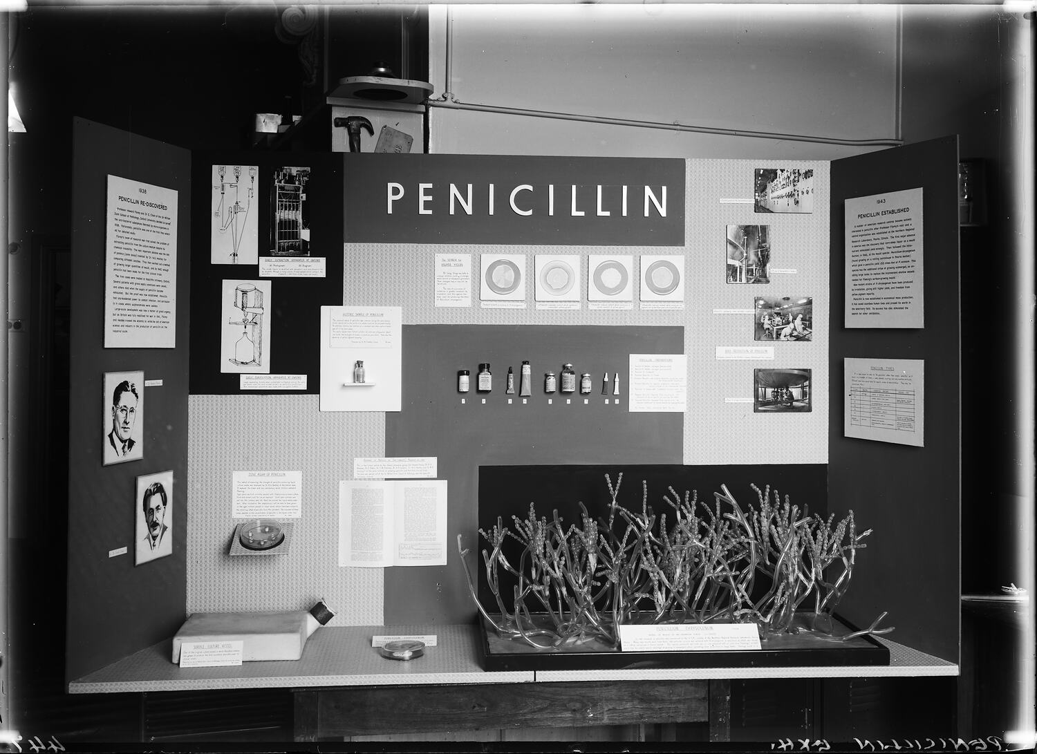 Glass Negative - Penicillin Display at the Institute of Applied Science ...